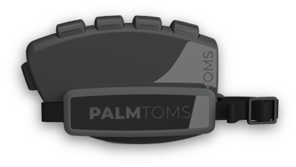Palmtoms